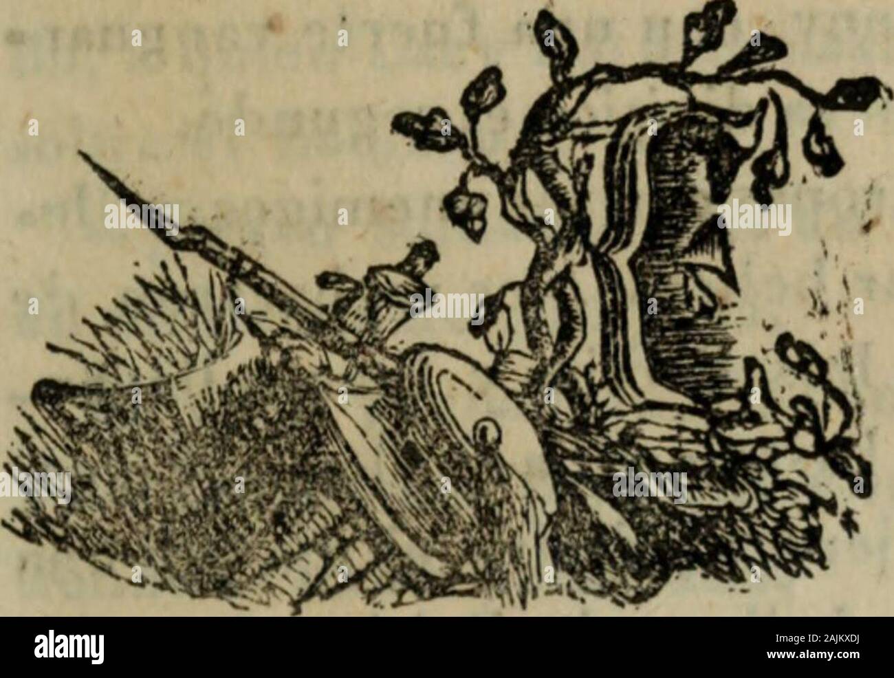 Pura sangre hi-res stock photography and images - Alamy