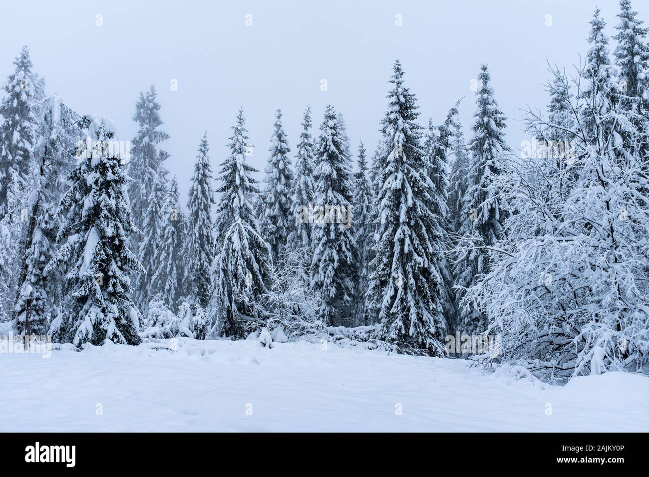 Goral, zakopane, poland hi-res stock photography and images - Alamy
