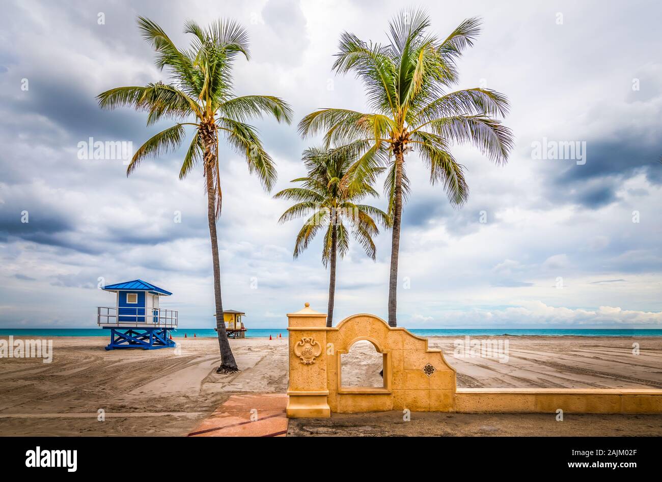 Hollywood beach florida palm tree hi-res stock photography and images ...