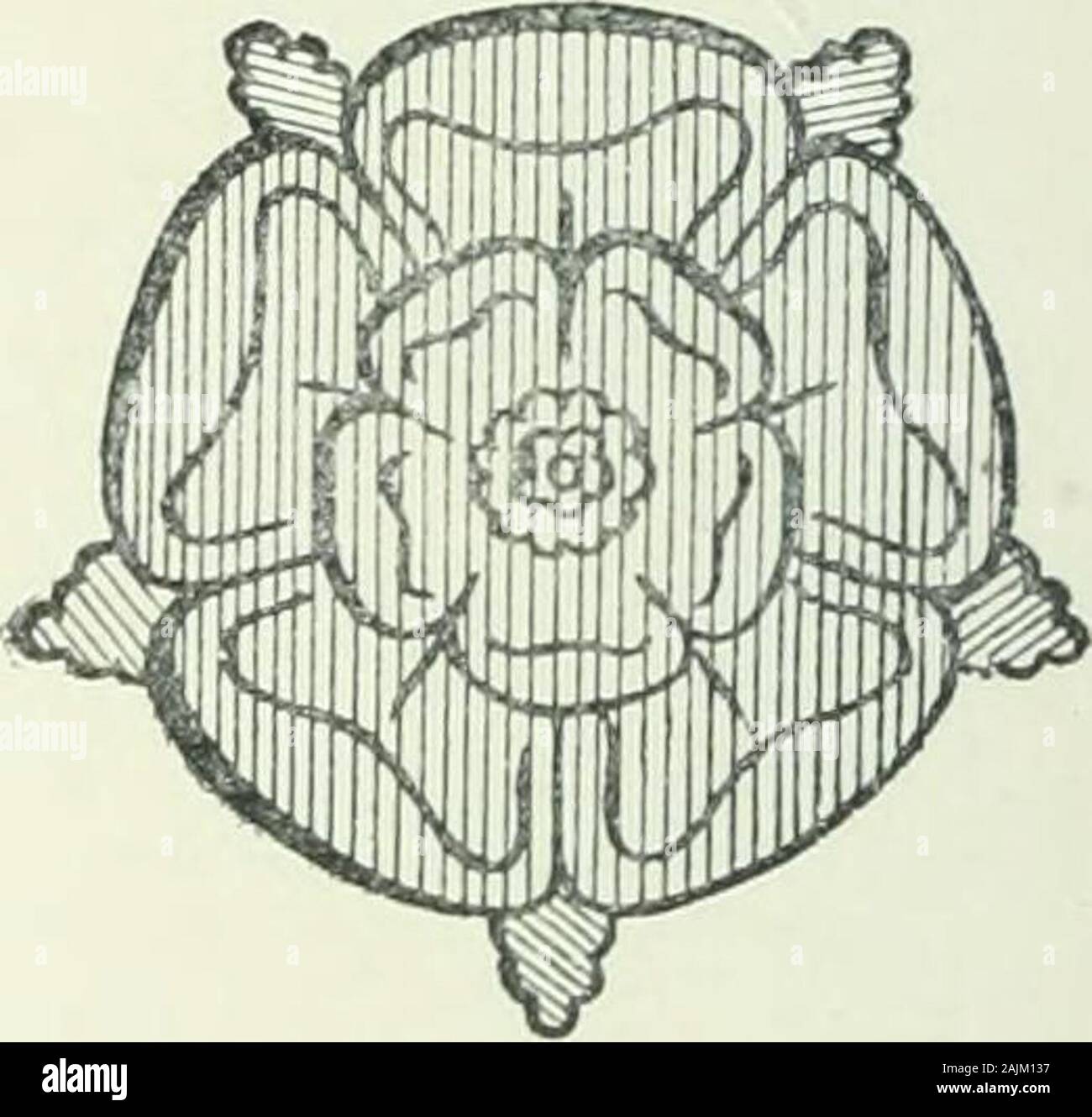 The regimental records of the British Army . The Lion of England. The ...