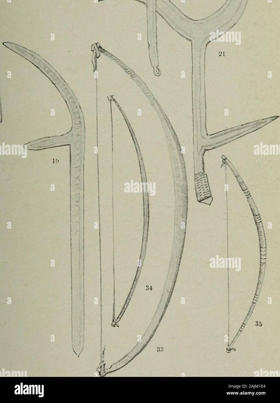 From the Congo to the Niger and the Nile : an account of The German ...