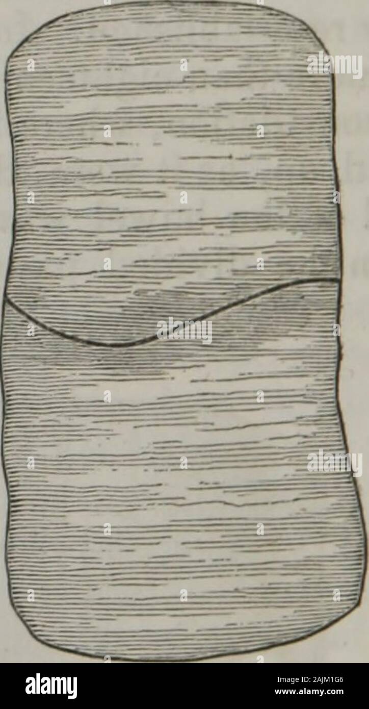 Elements of pathological anatomy . Effects similar to the above are ...