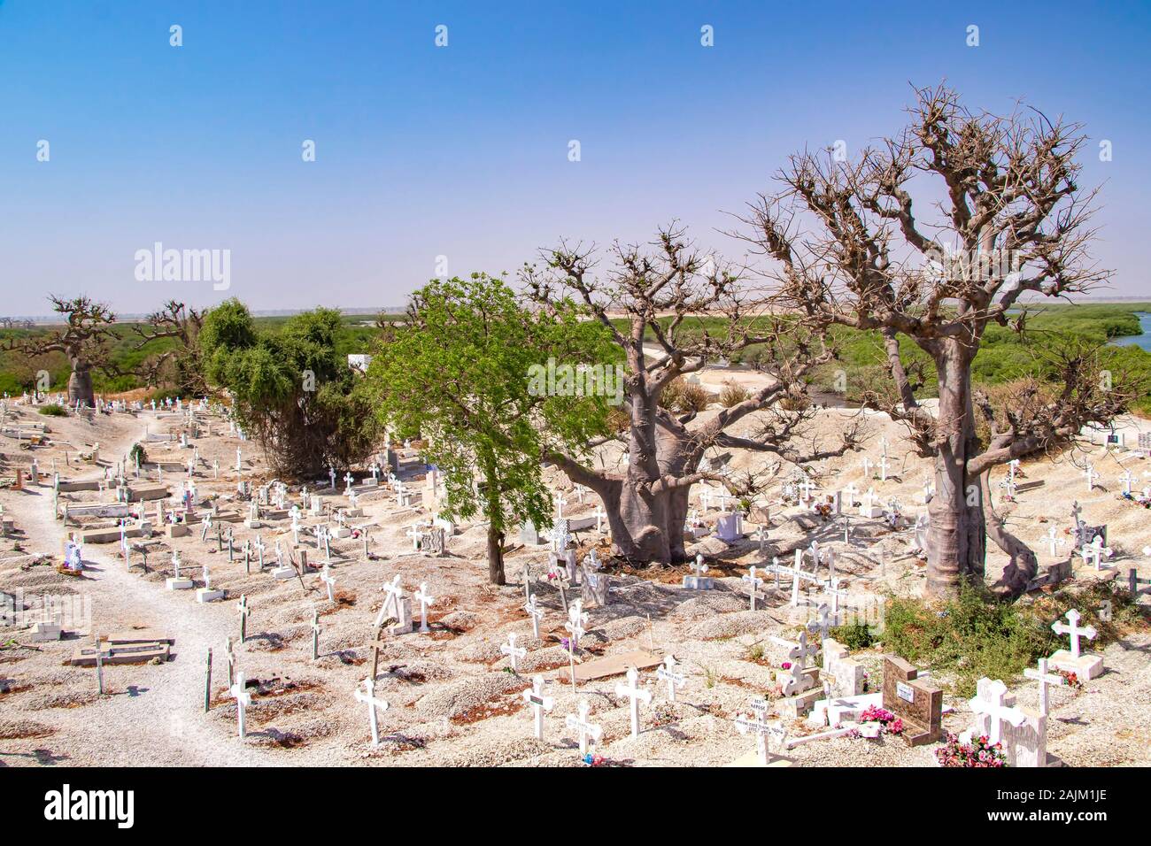 Seashell island senegal hi-res stock photography and images - Alamy