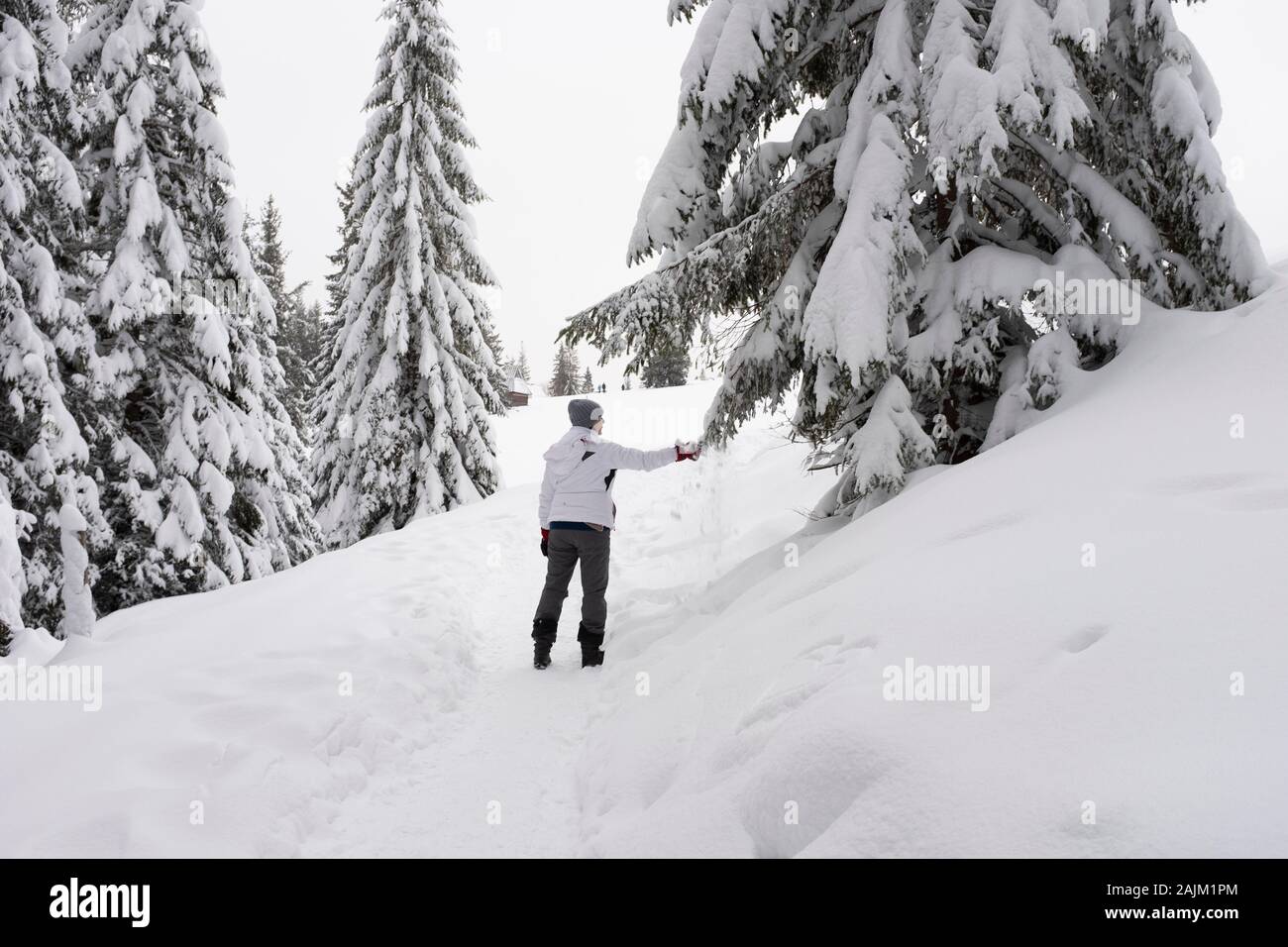 Covered track hi-res stock photography and images - Alamy