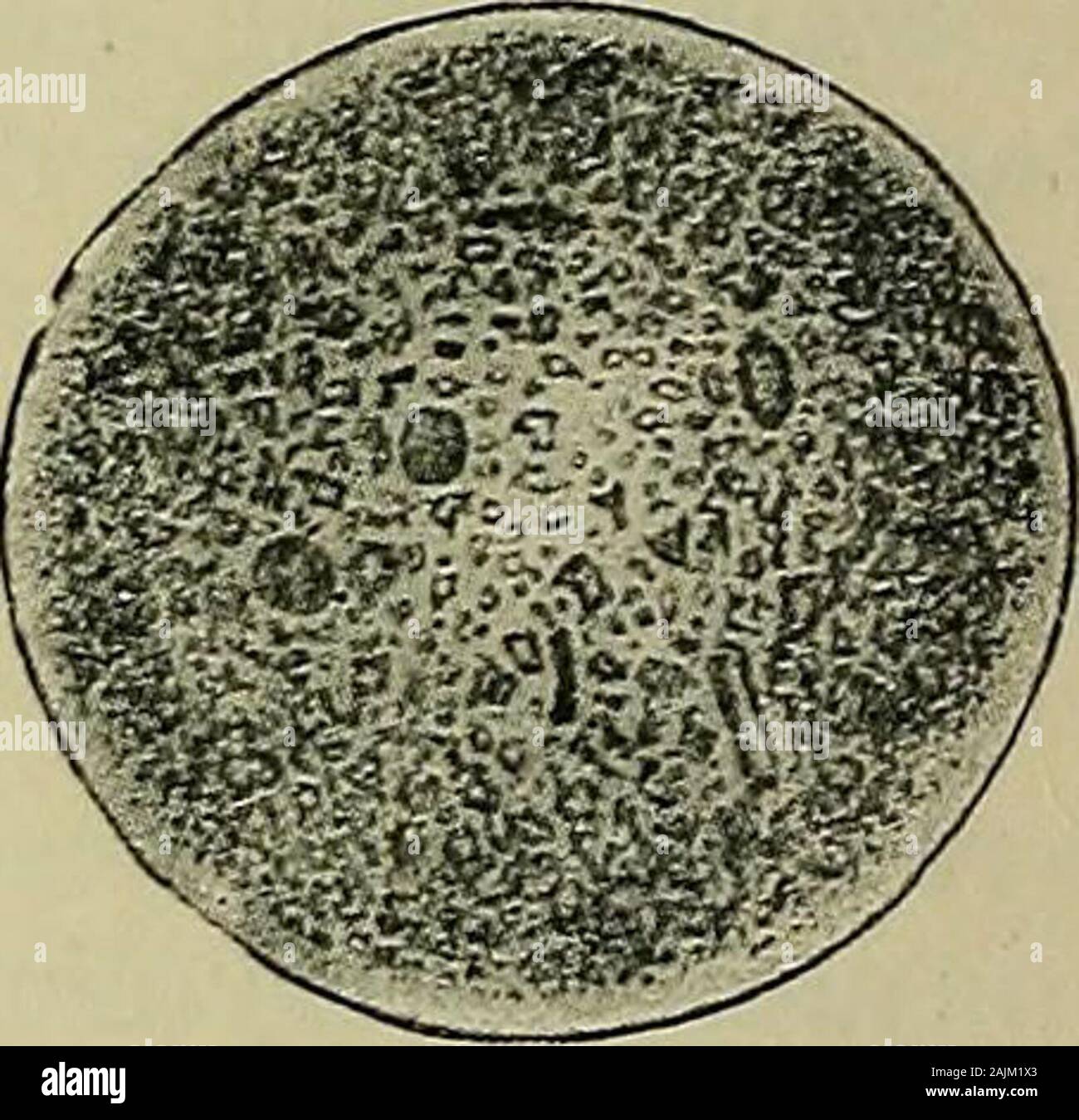 Unstimulated hi-res stock photography and images - Alamy