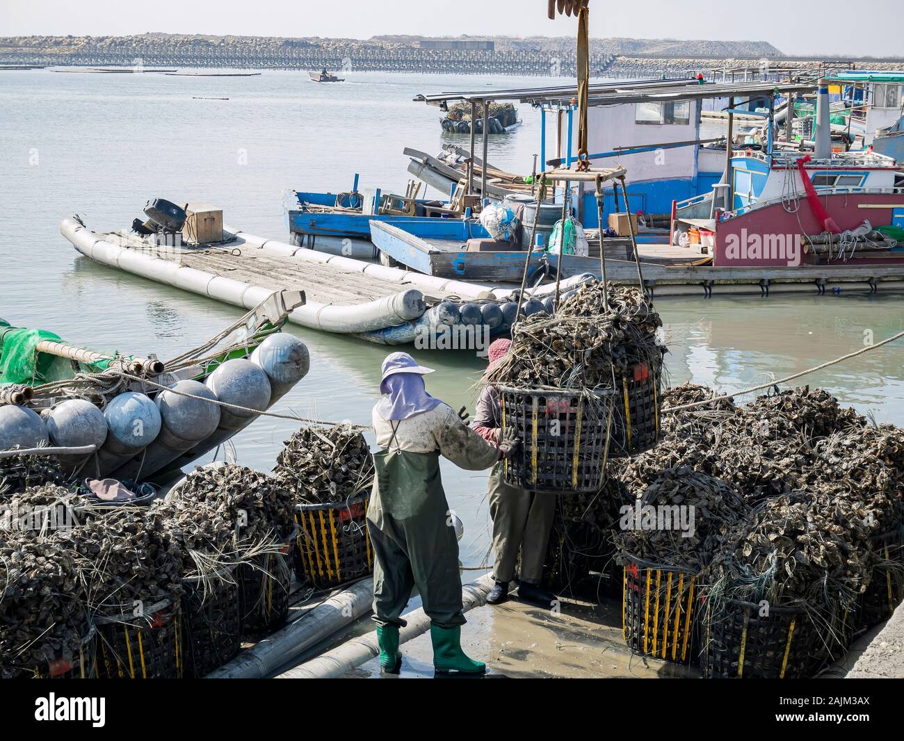 Oyster shell construction hi-res stock photography and images - Alamy