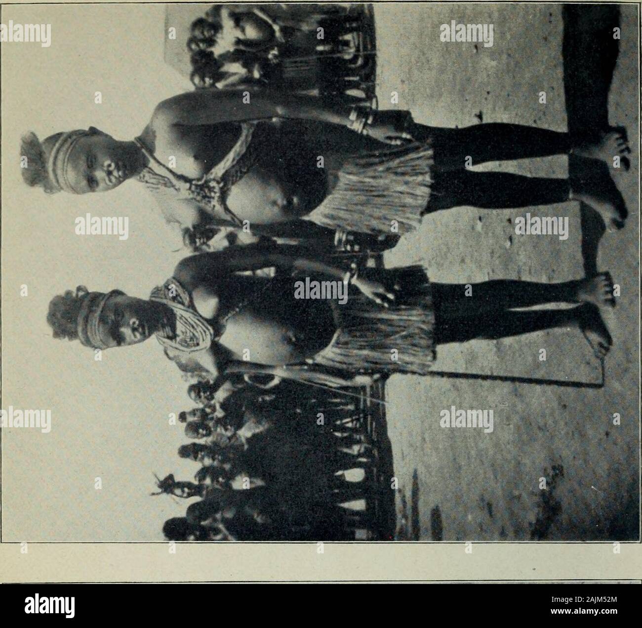 From the Congo to the Niger and the Nile : an account of The German ...