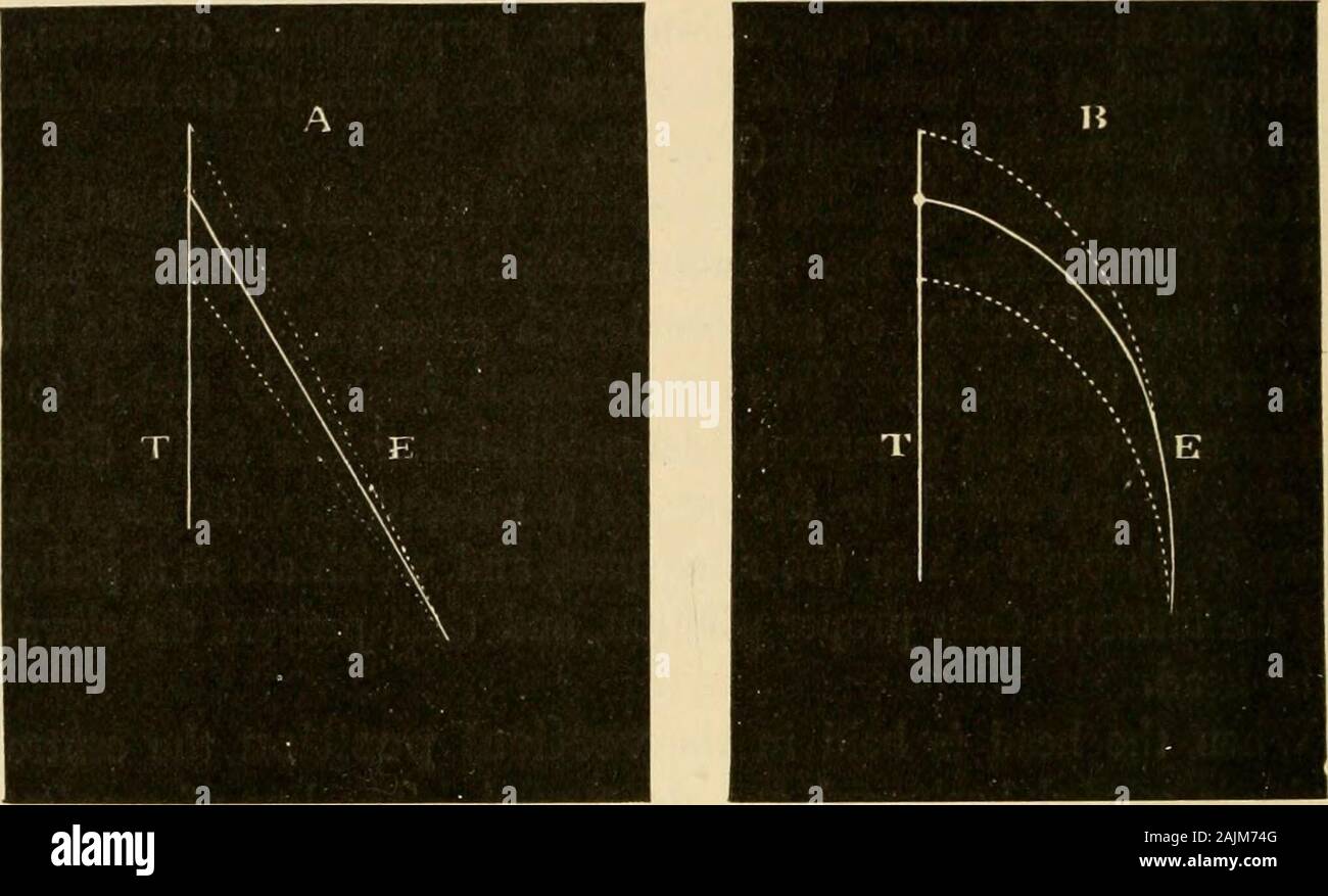 The exterior of the horse . stumble and fall, but for opposite reasons ...