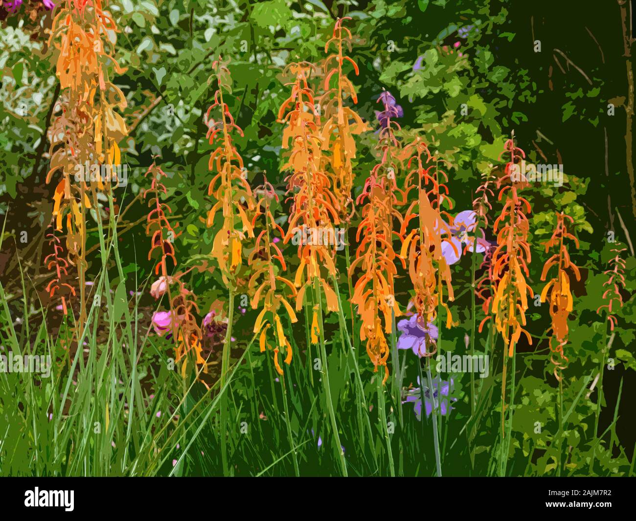 Cutout filter photoshop hi-res stock photography and images - Alamy