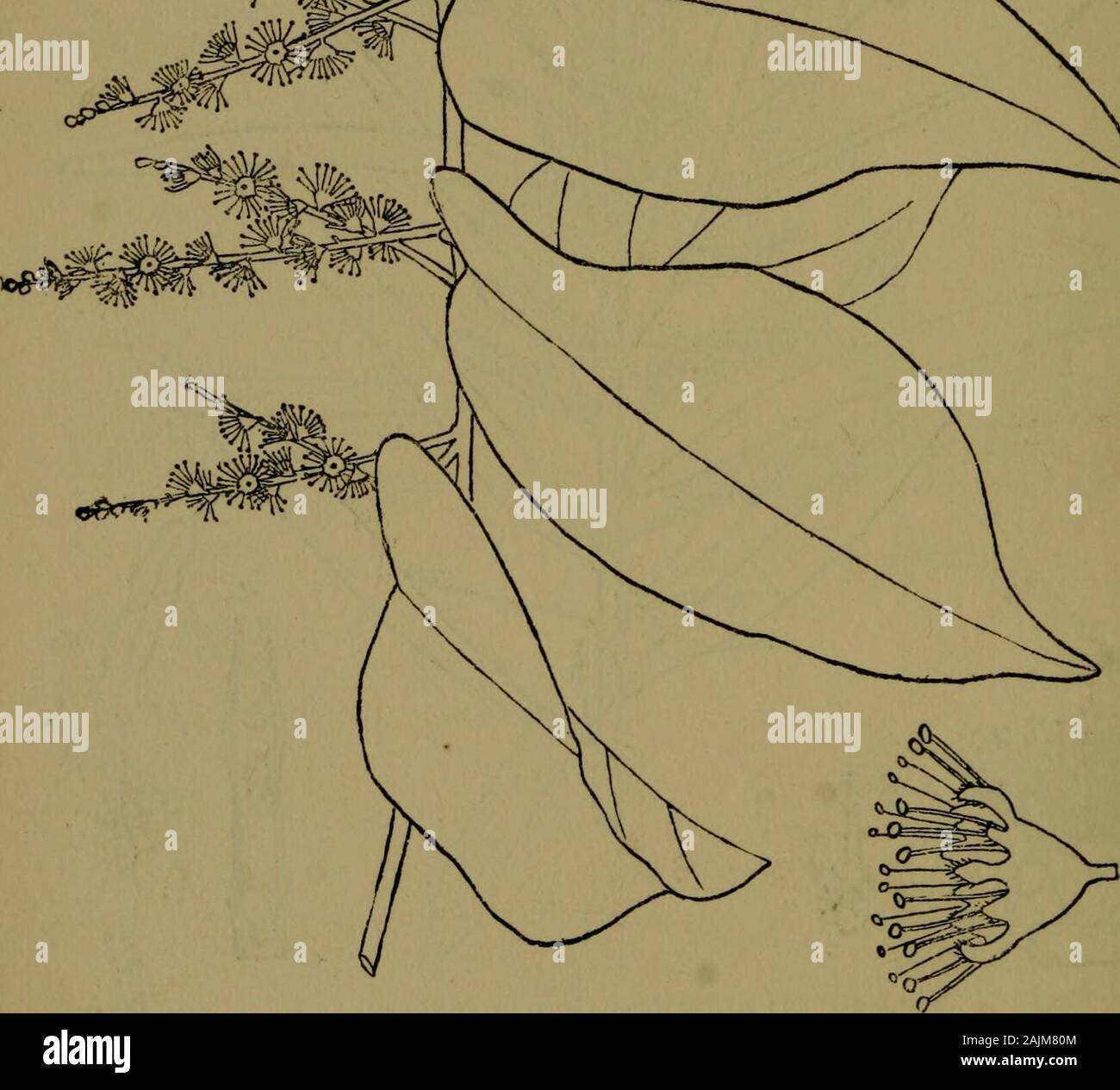 325 hill hi-res stock photography and images - Alamy