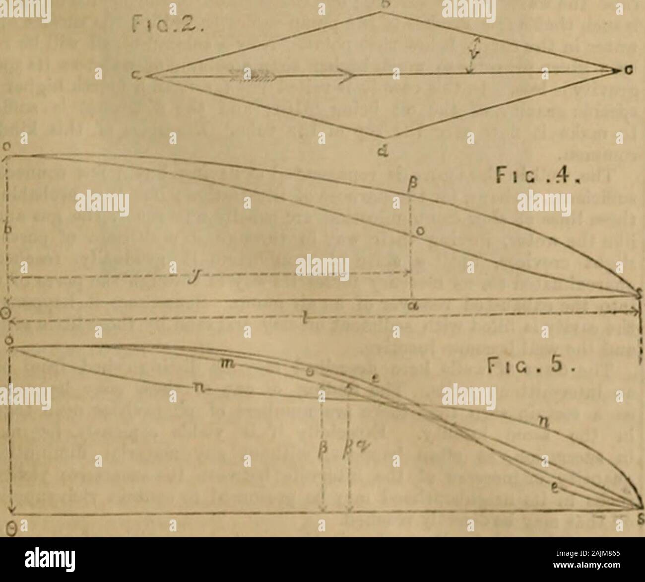 Square cross section stem hi-res stock photography and images - Alamy