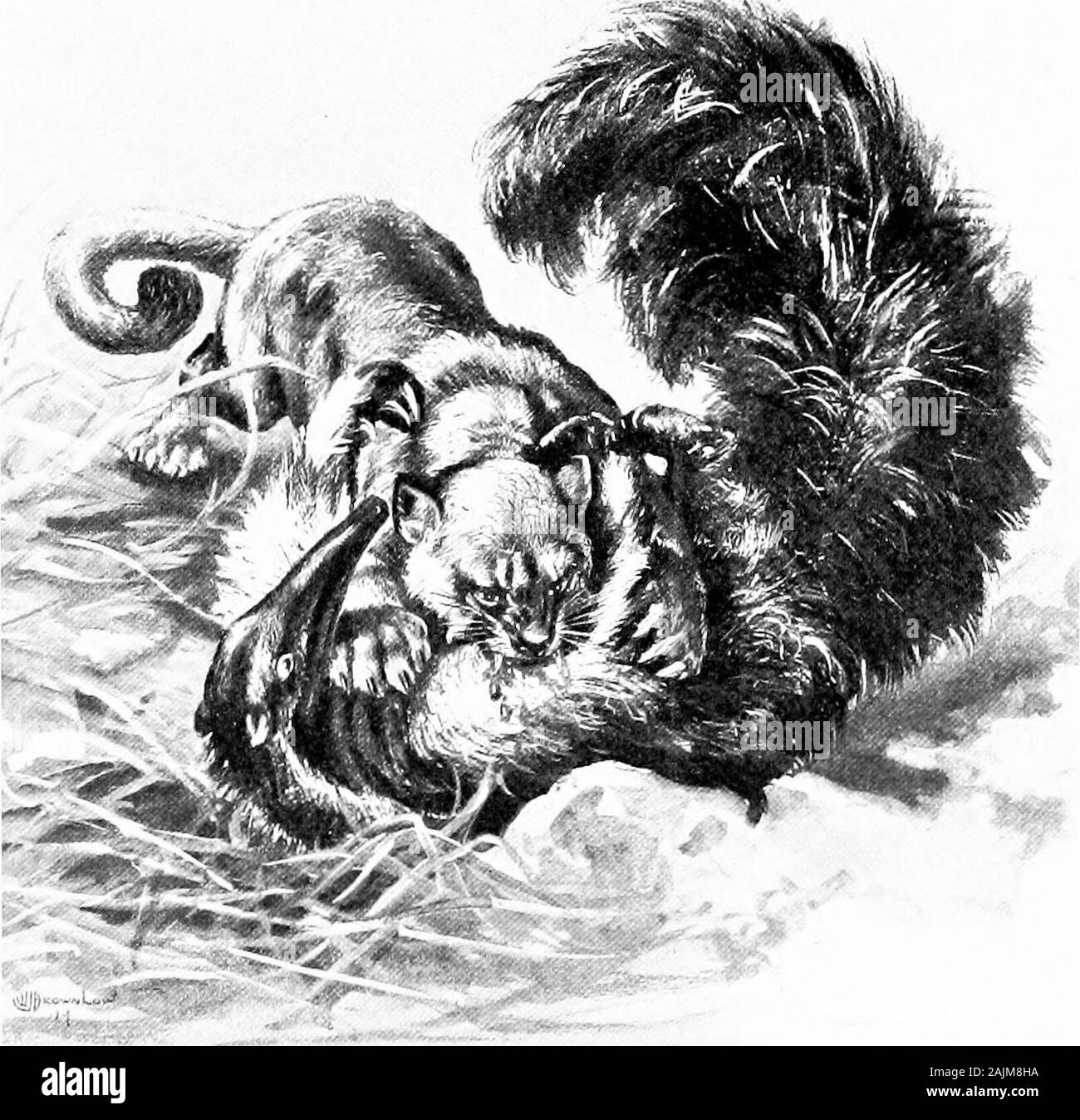 The origin and nature of the emotions; miscellaneous papers . of a ...