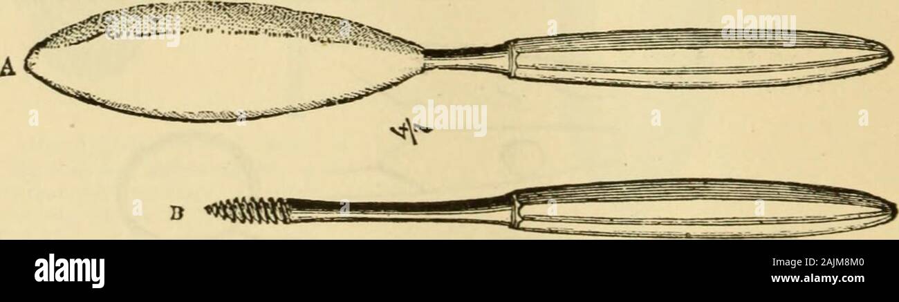 Septum fracture hi-res stock photography and images - Alamy