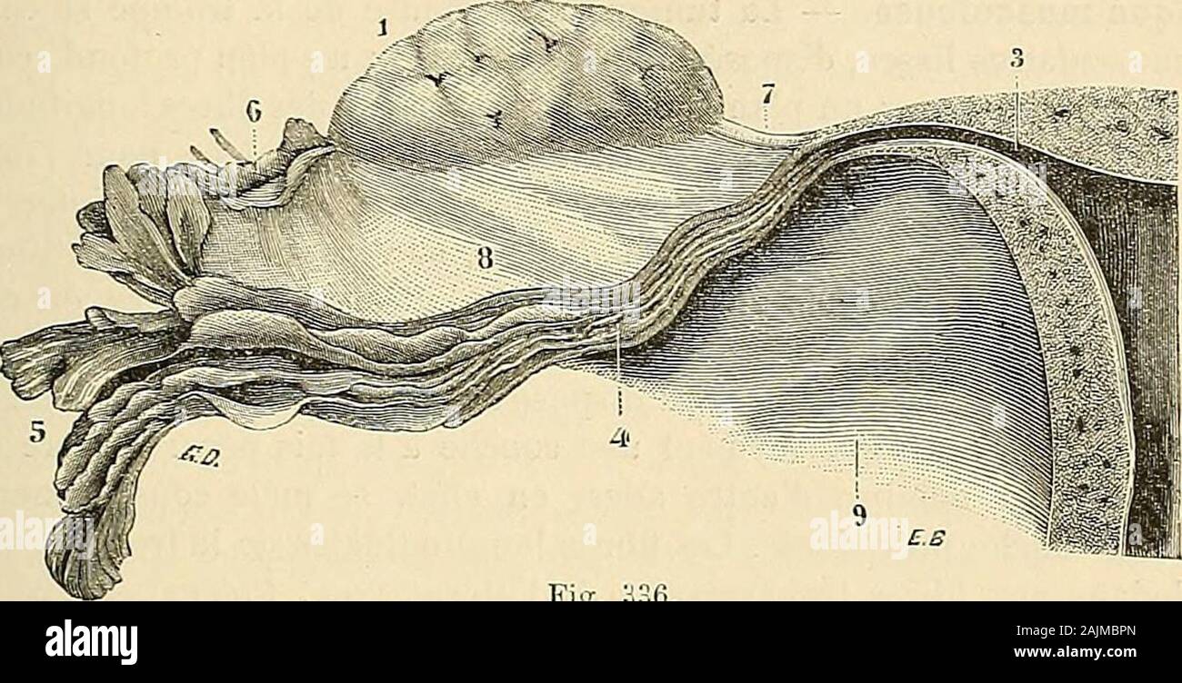 Sillons hi-res stock photography and images - Alamy