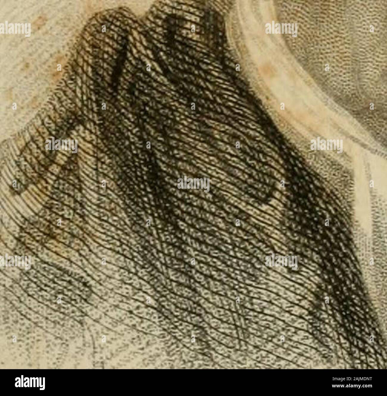 John fearn hi-res stock photography and images - Alamy