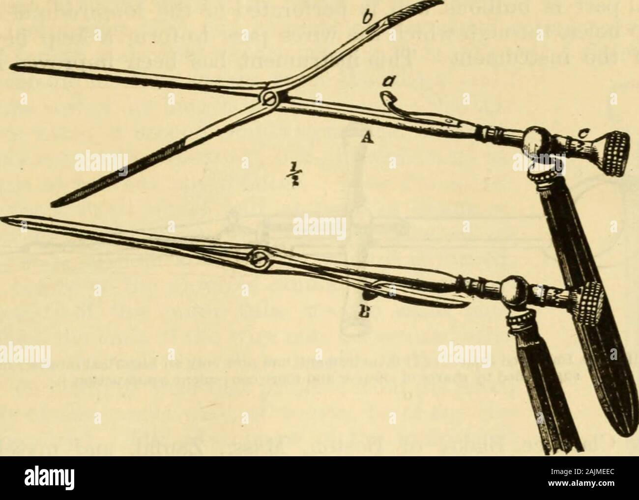A manual of diseases of the throat and nose : including the pharynx ...