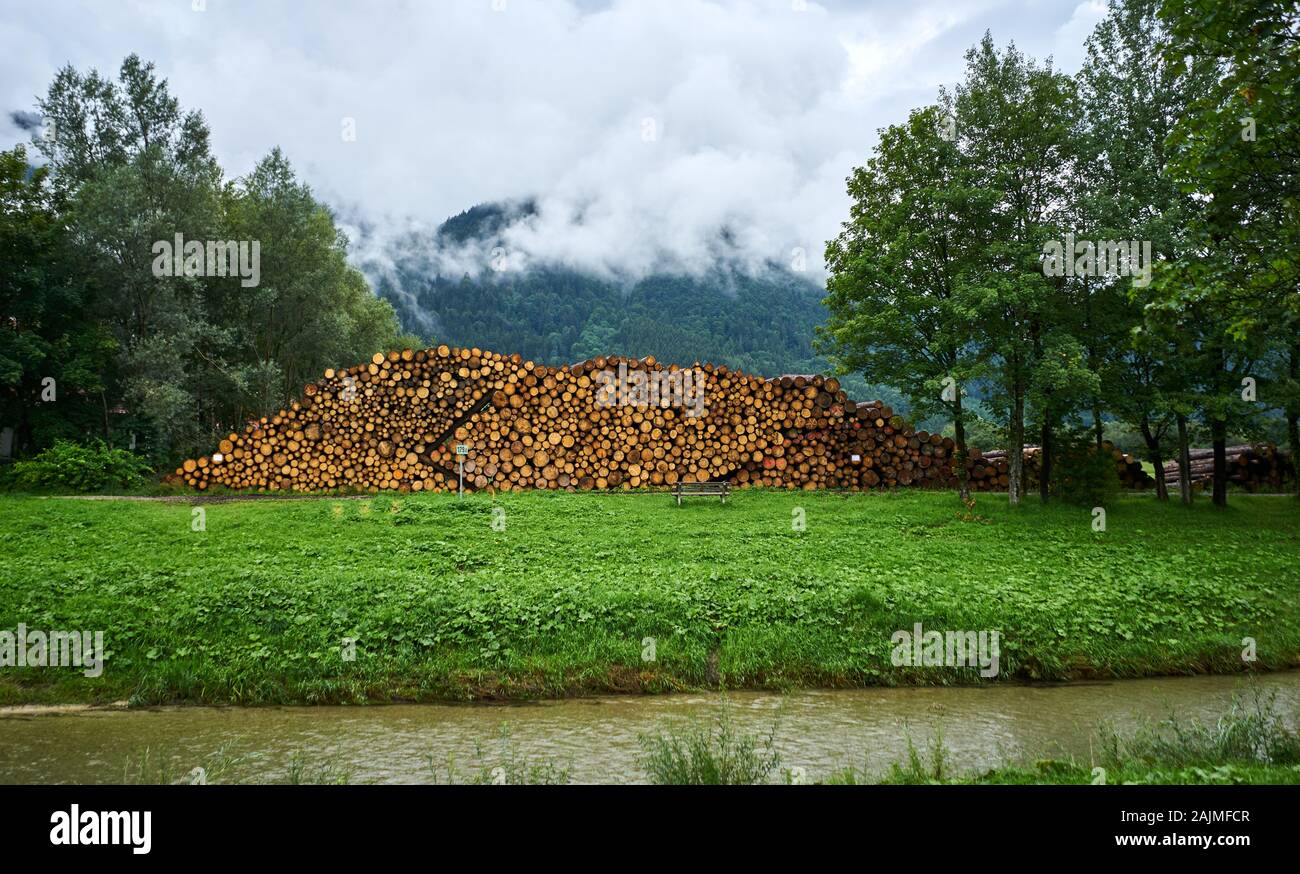 Log pile with grassy foreground and cloud shrouded mountains in the ...