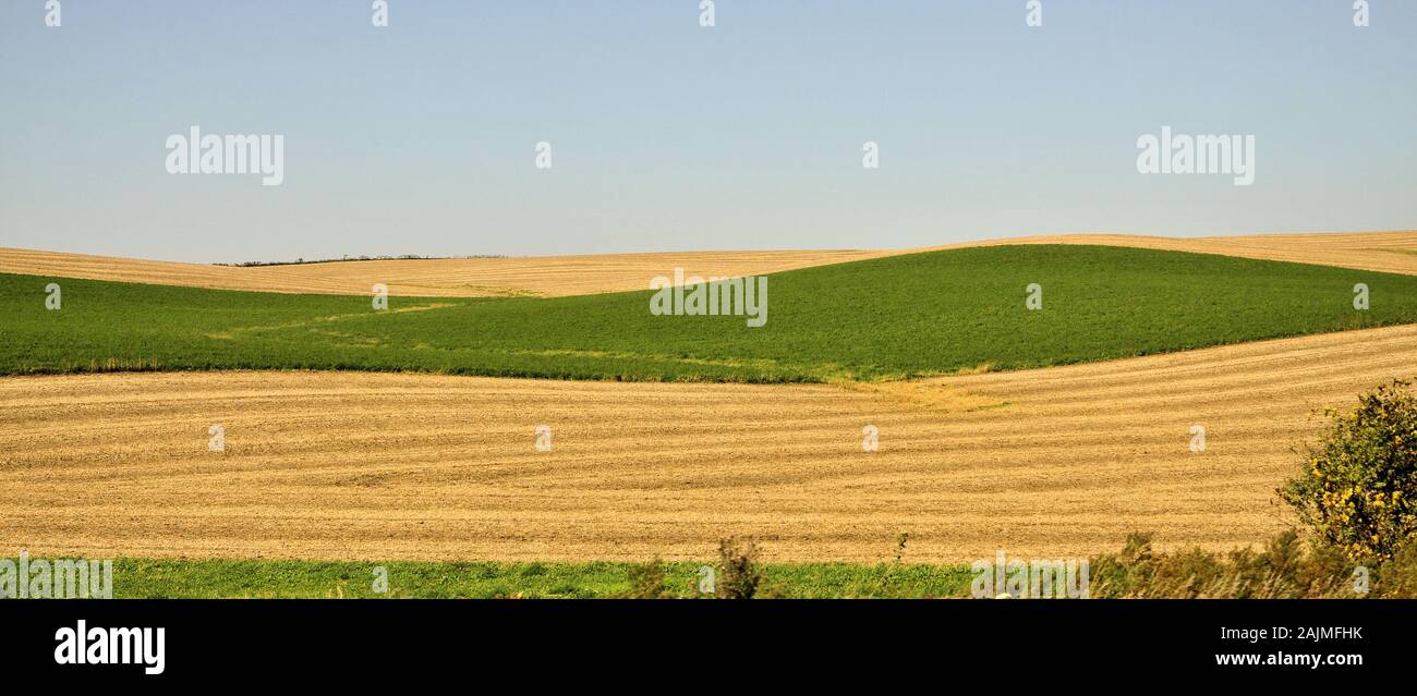 Corn field minnesota hi-res stock photography and images - Alamy