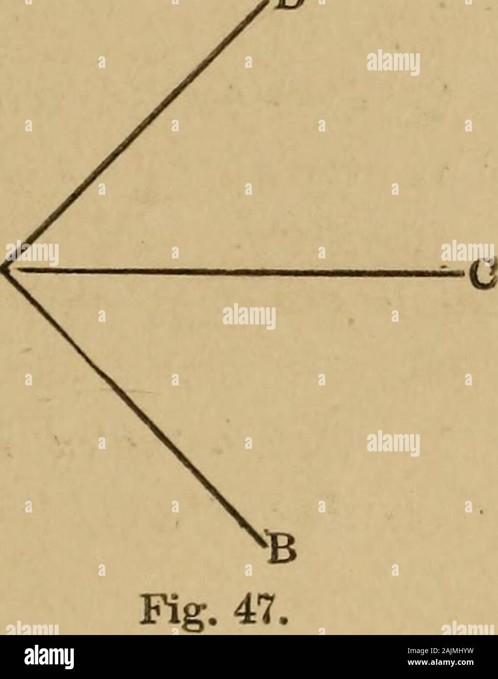 Obtuse Triangle In Nature