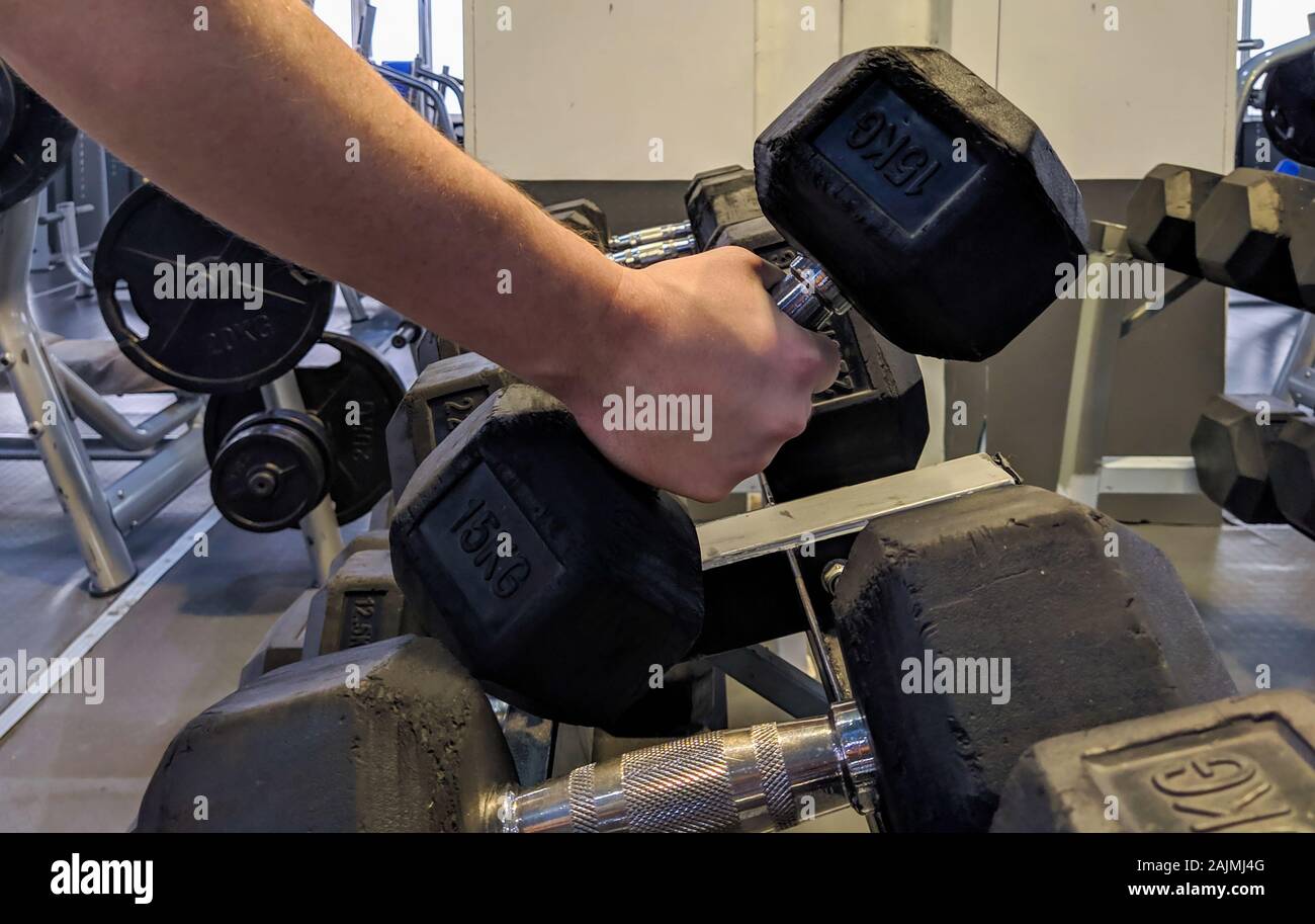 Body weights and dumbbells for arms, legs and bodybuilding biceps ...