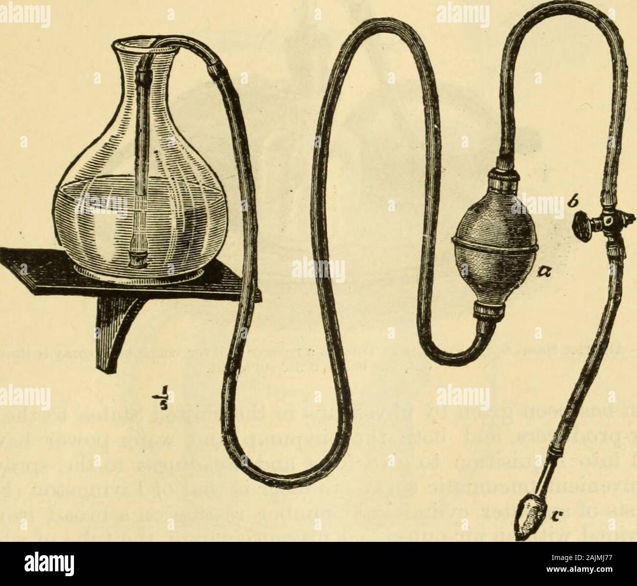 Nasal part of the pharynx hi-res stock photography and images - Alamy