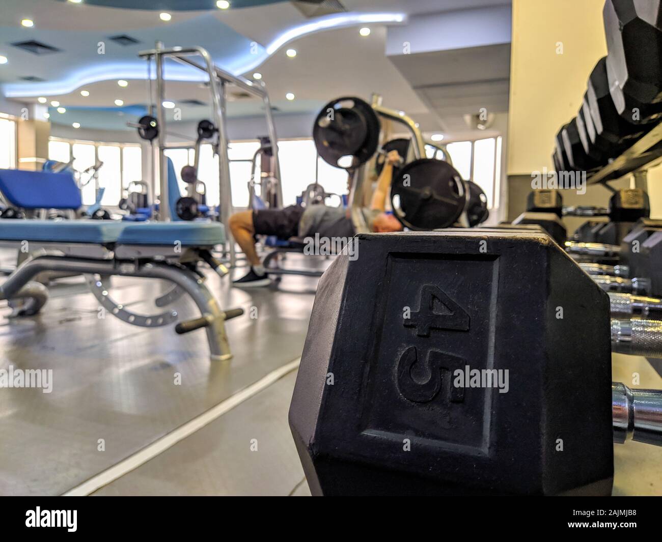 Body weights and dumbbells for arms, legs and bodybuilding biceps ...