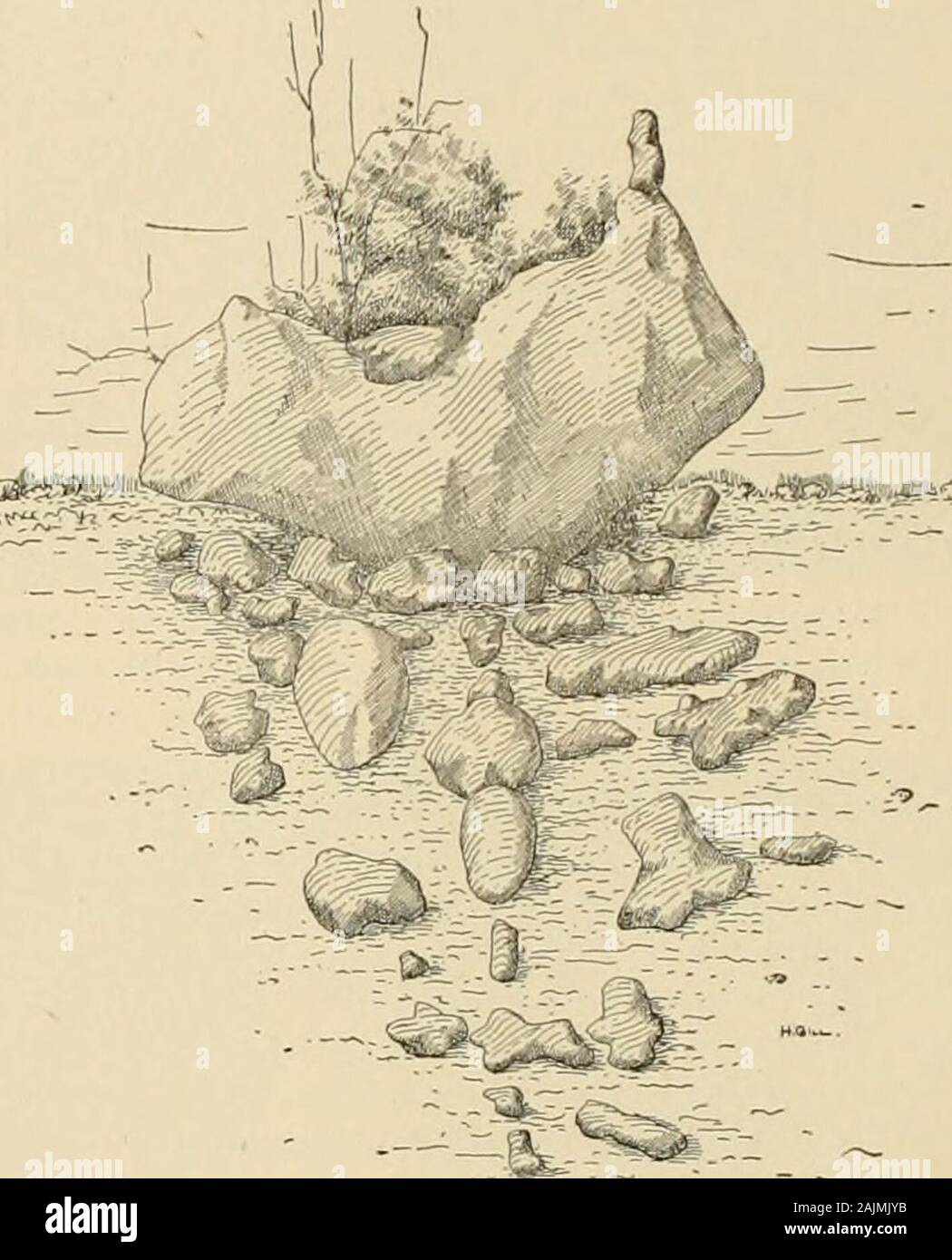 Tissure hi-res stock photography and images - Alamy