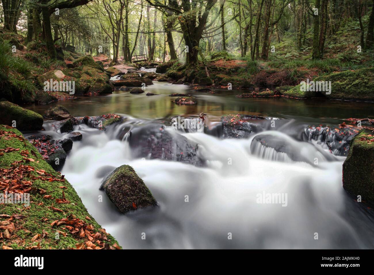Golitha Falls River Liskeard Cornwall Stock Photo - Alamy