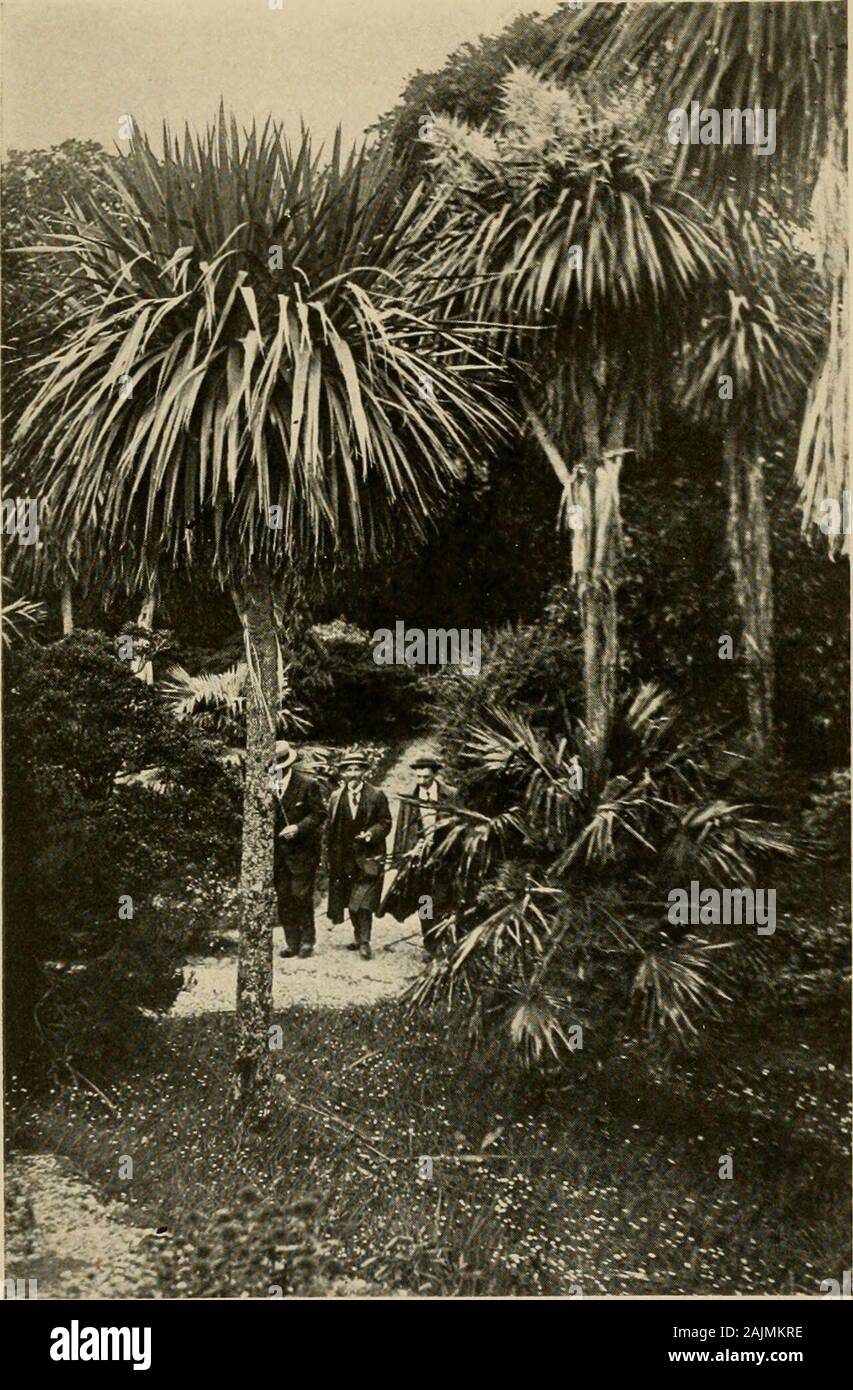 Drooping wings at rest hi-res stock photography and images - Alamy