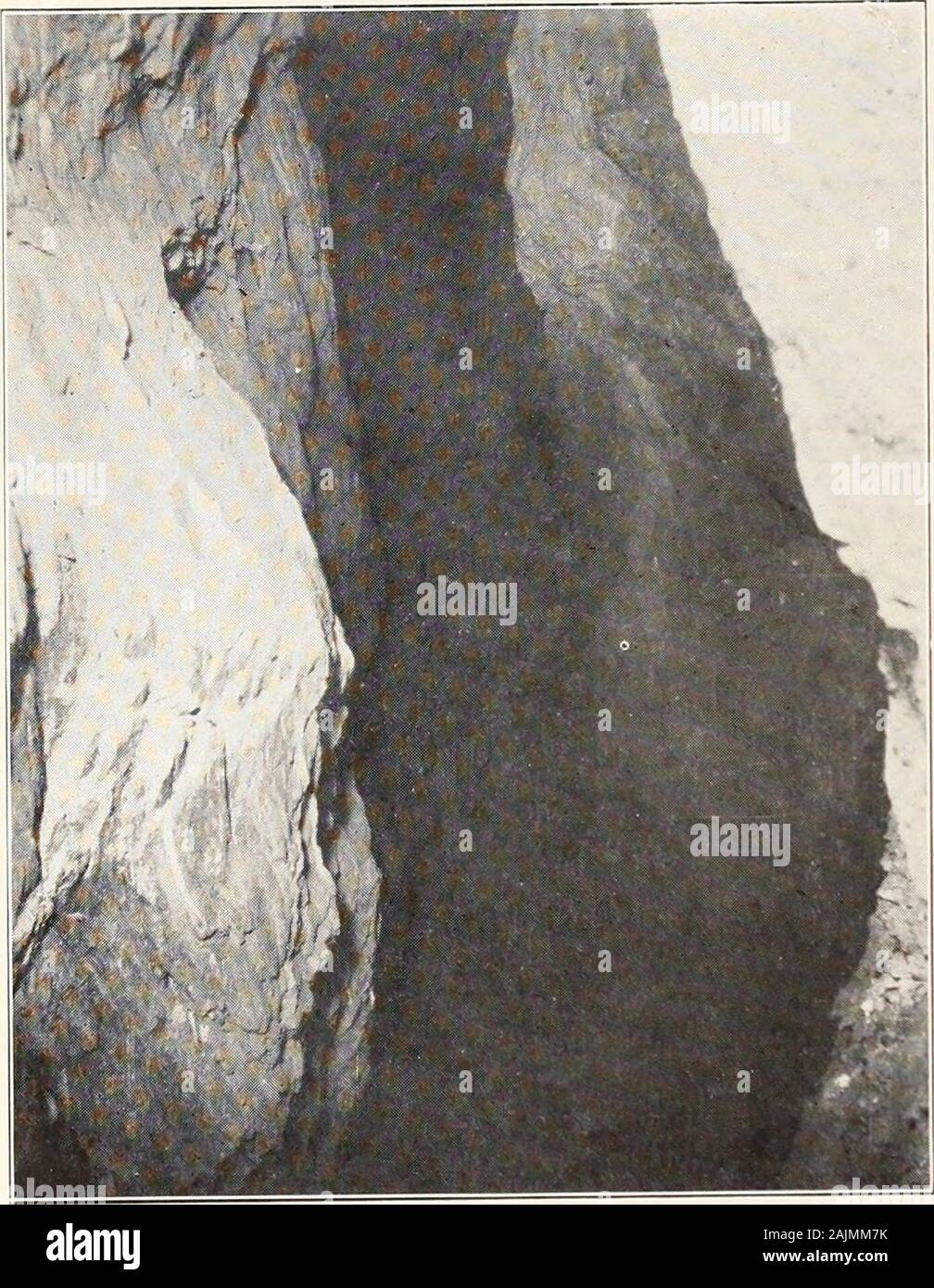 Tabular quartz hi-res stock photography and images - Alamy