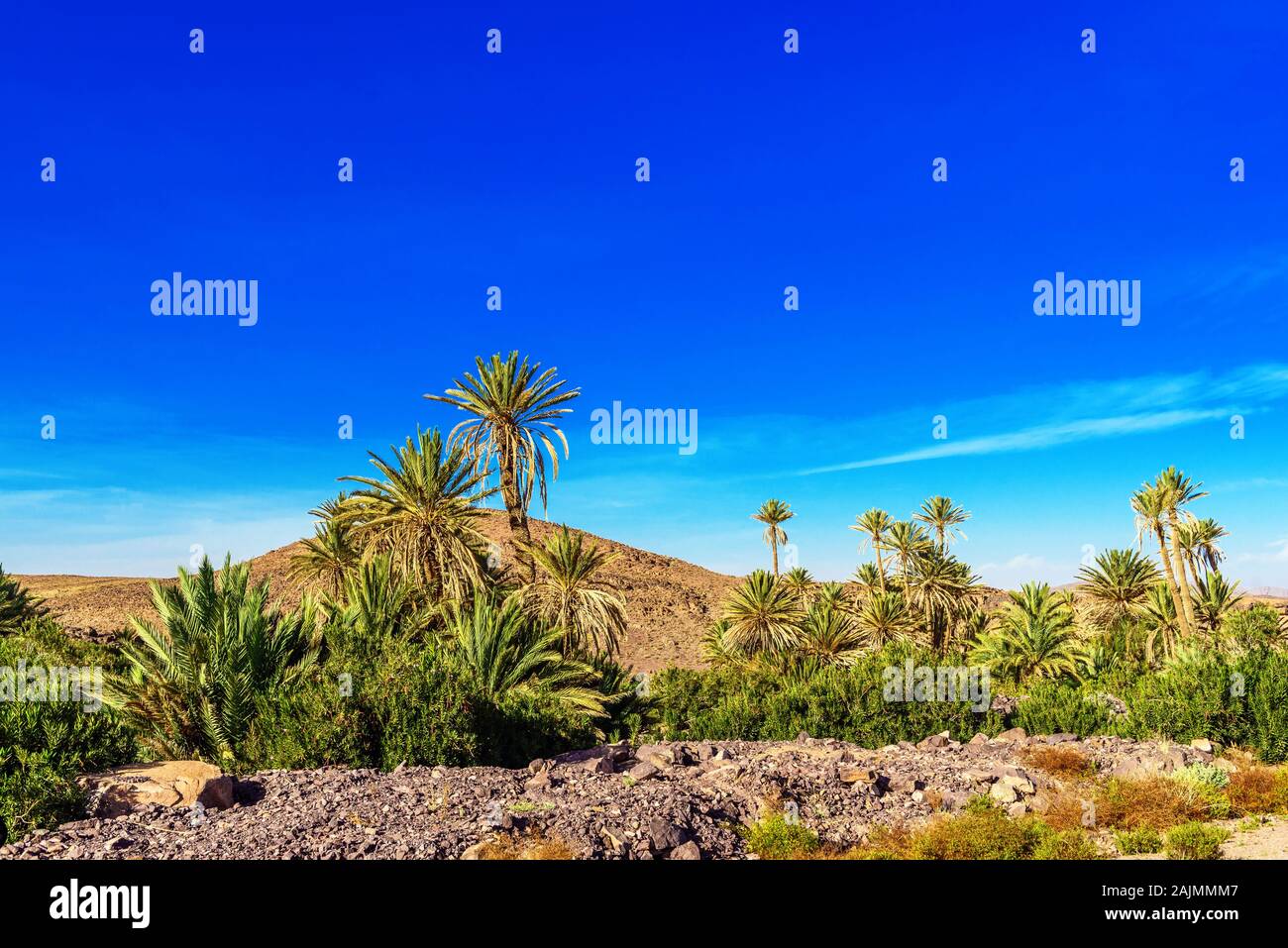 landscape Draa valley oasis, Morocco. Copy space for text Stock Photo ...