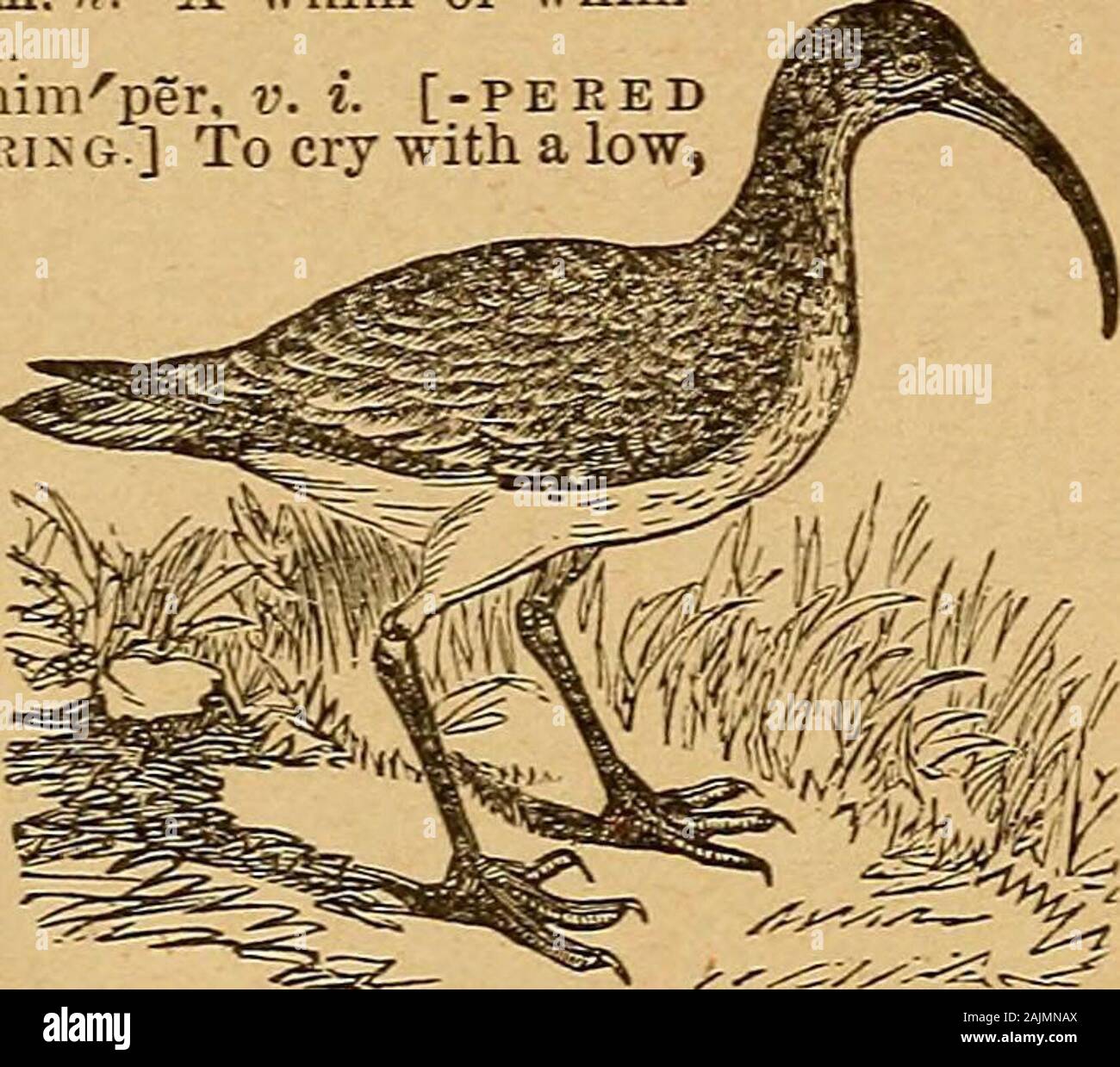 Whippletree hi-res stock photography and images - Alamy