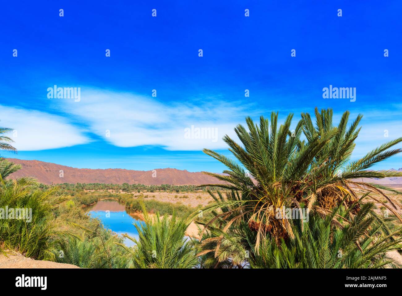 A view of the landscape of the river Draa, Morocco. Copy space for text ...