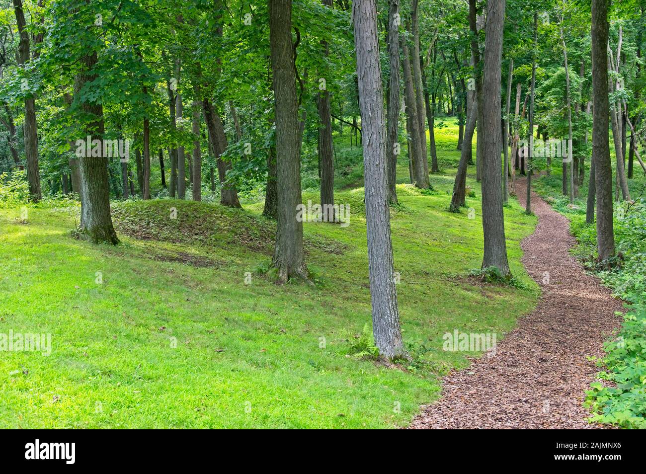Views through Effigy Mounds, National Monument. Depicting burial mounds ...