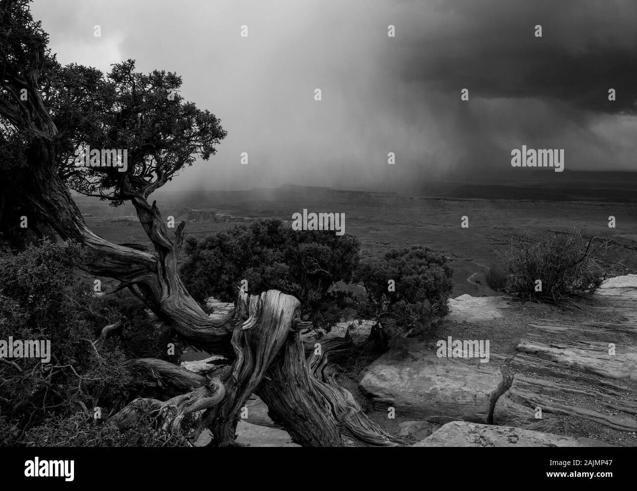 Thunderstorm view from Grand View Point Road, Canyonlands National Park ...