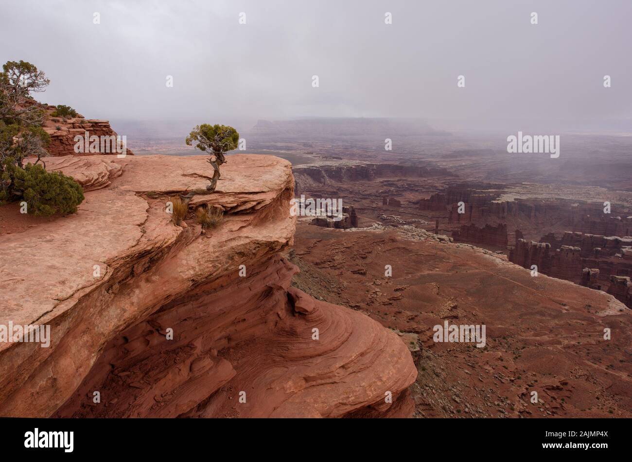Grand view point overlook canyonlands hi-res stock photography and ...