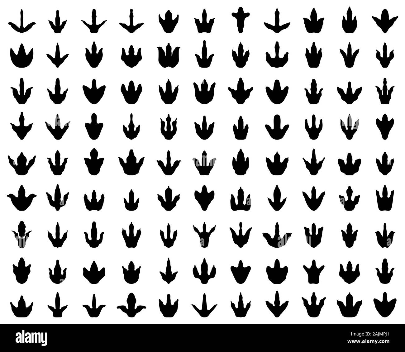 Ancient tyrannosaurus dinosaur footprint Cut Out Stock Images ...