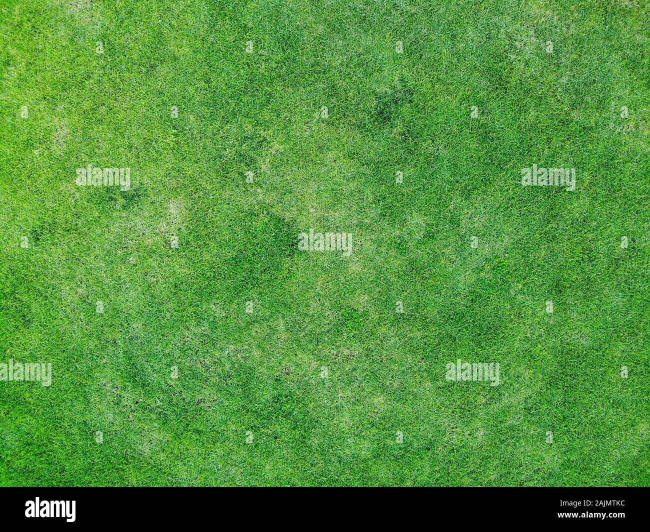 top view of green grass texture background. texture for garden Stock ...