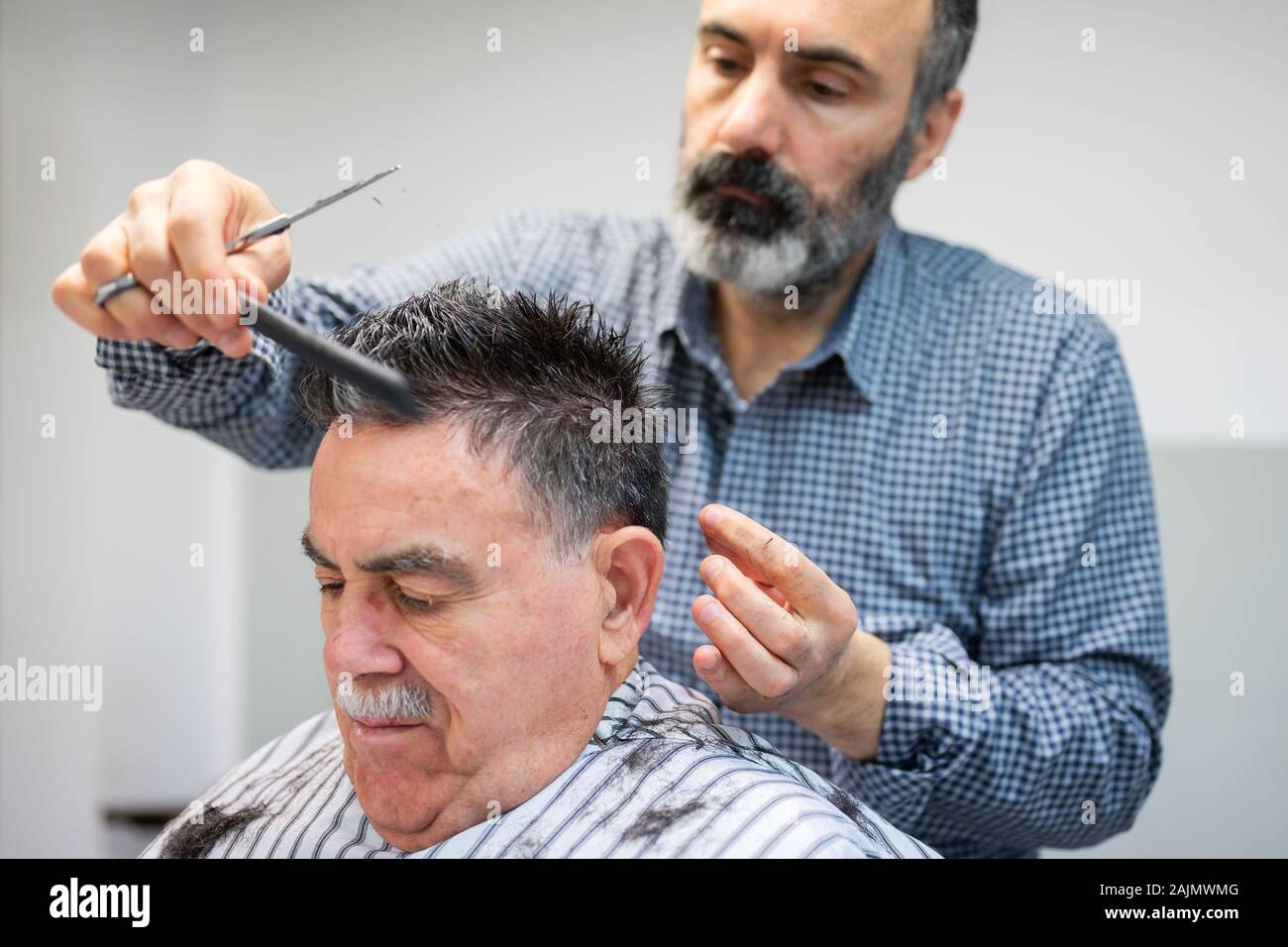 Barber trimming hair of old man at barber shop Stock Photo - Alamy