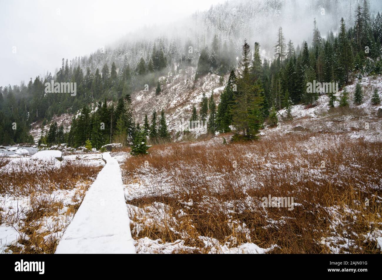 Covered path hi-res stock photography and images - Alamy
