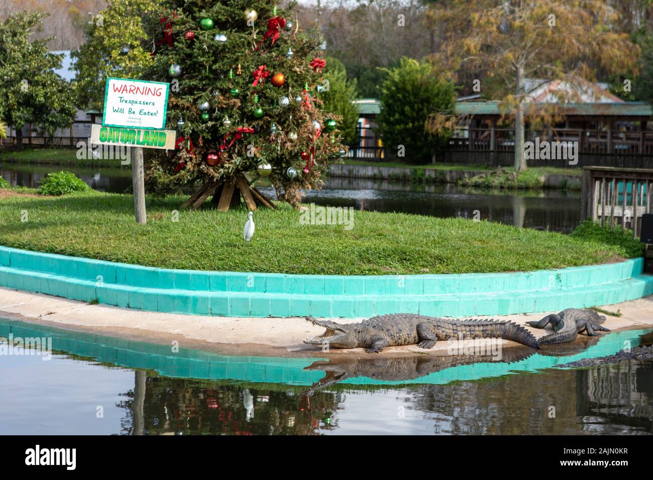 Gatorland, Orlando, Florida Stock Photo - Alamy