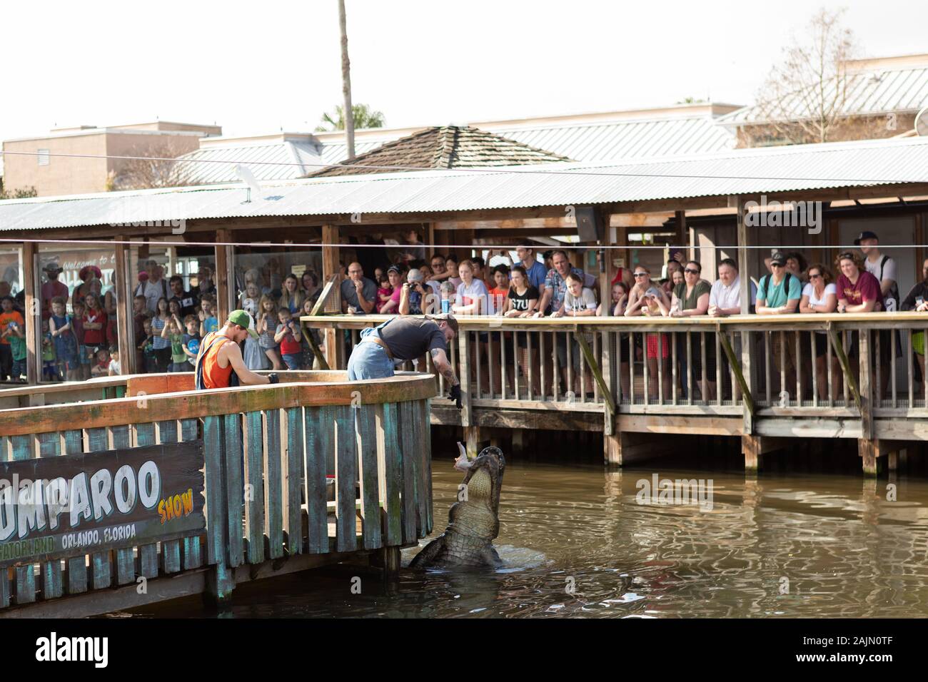 Gatorland, Orlando, Florida Stock Photo - Alamy