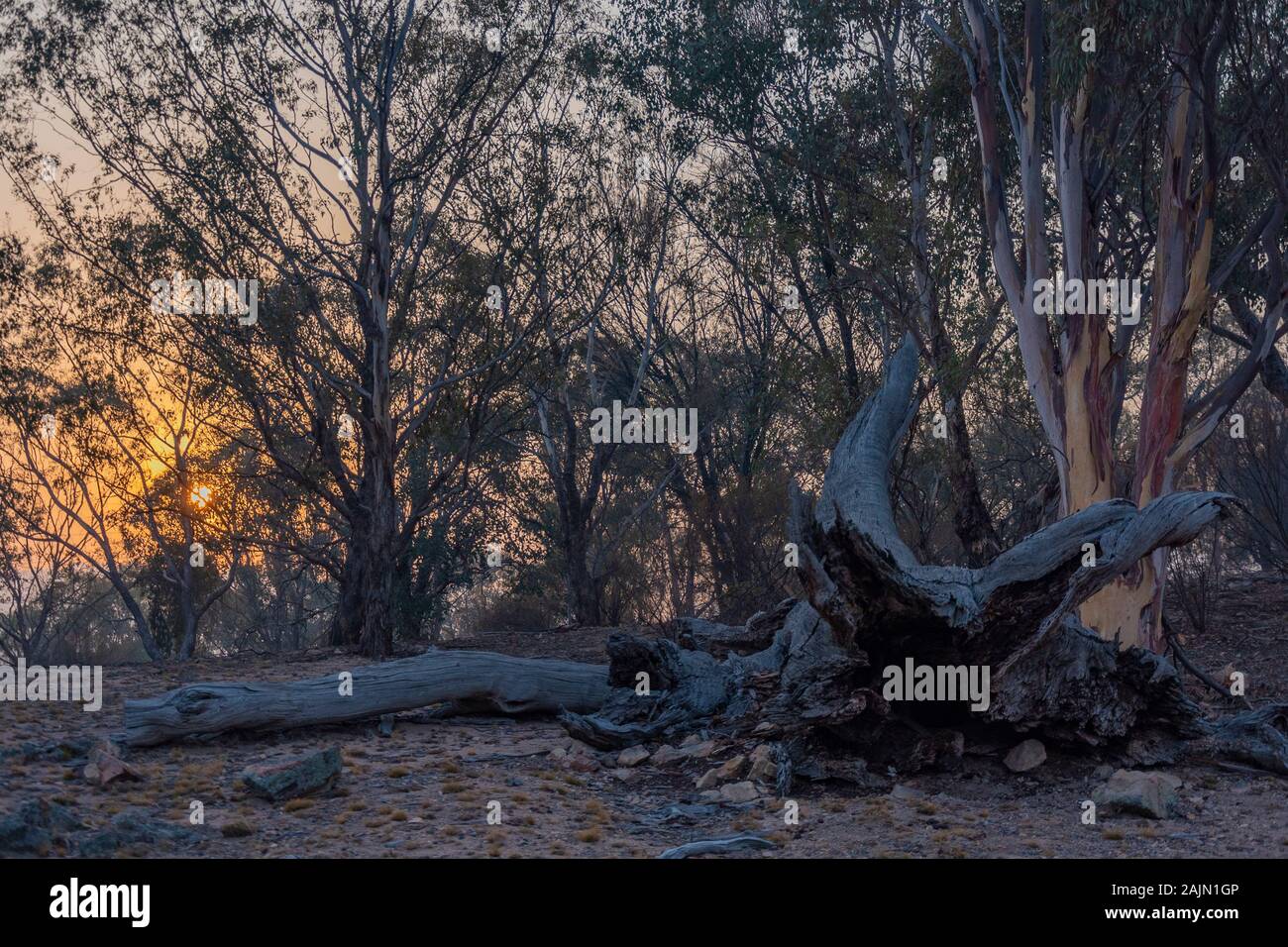 Australia bushfires hi-res stock photography and images - Alamy