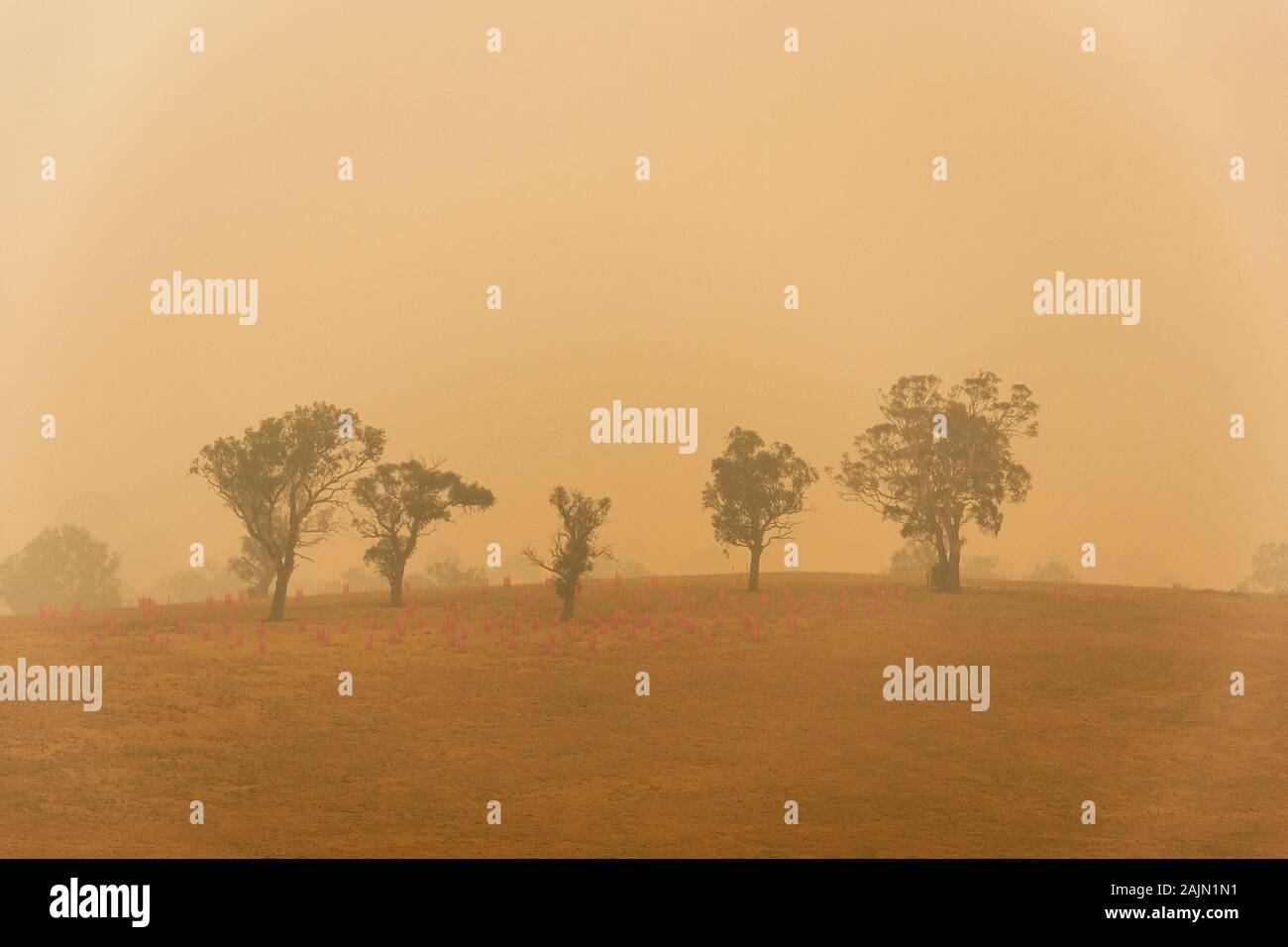 Australia bushfires hi-res stock photography and images - Alamy