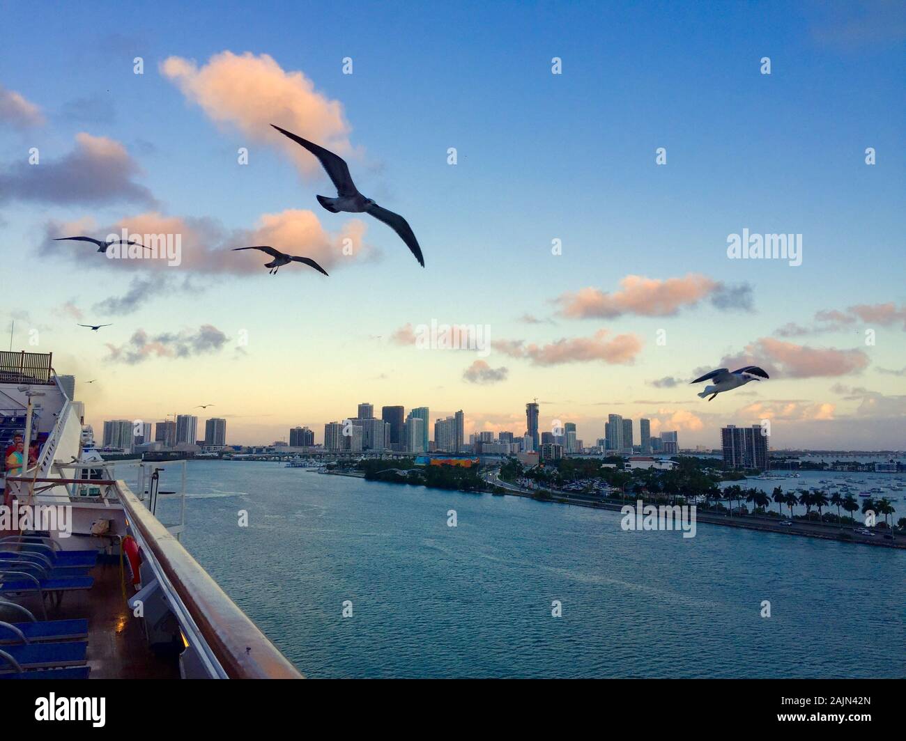 morning of Miami Stock Photo - Alamy