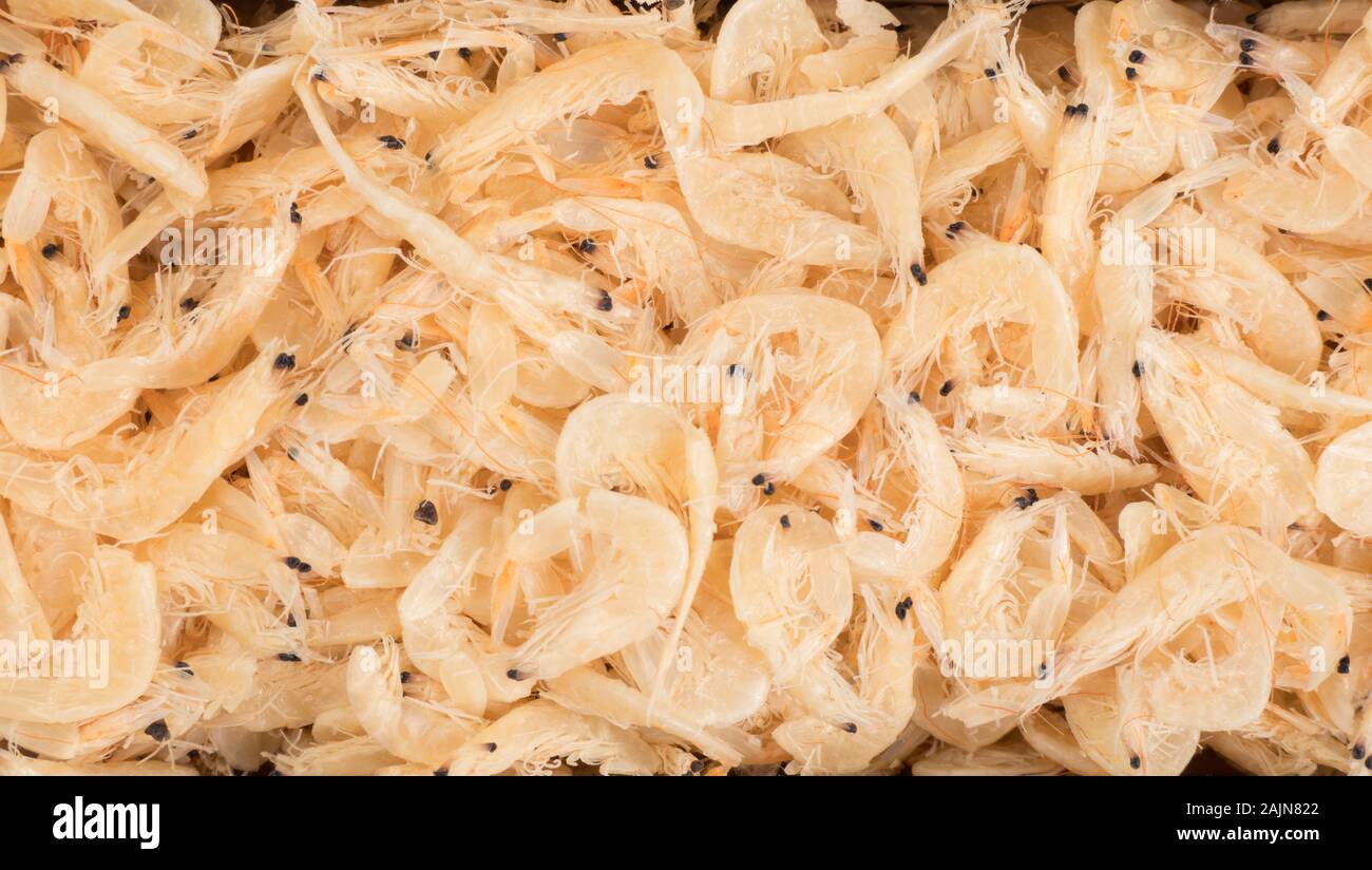 dried prawns background. Natural seasoning texture. Food ingredient ...