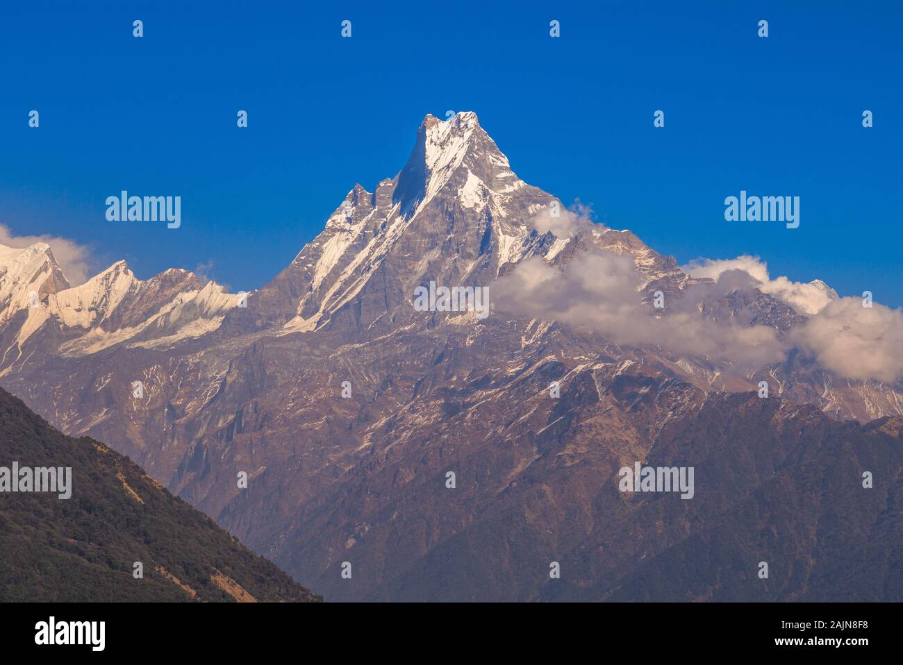 Machapuchare, fishtail mount, in pokhara, nepal Stock Photo - Alamy