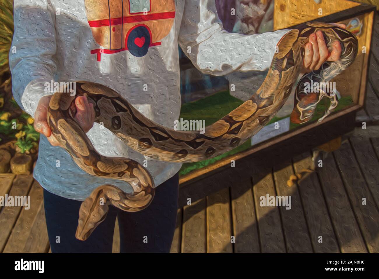 Little girl bravely holding a beautiful small boa constrictor in a park ...