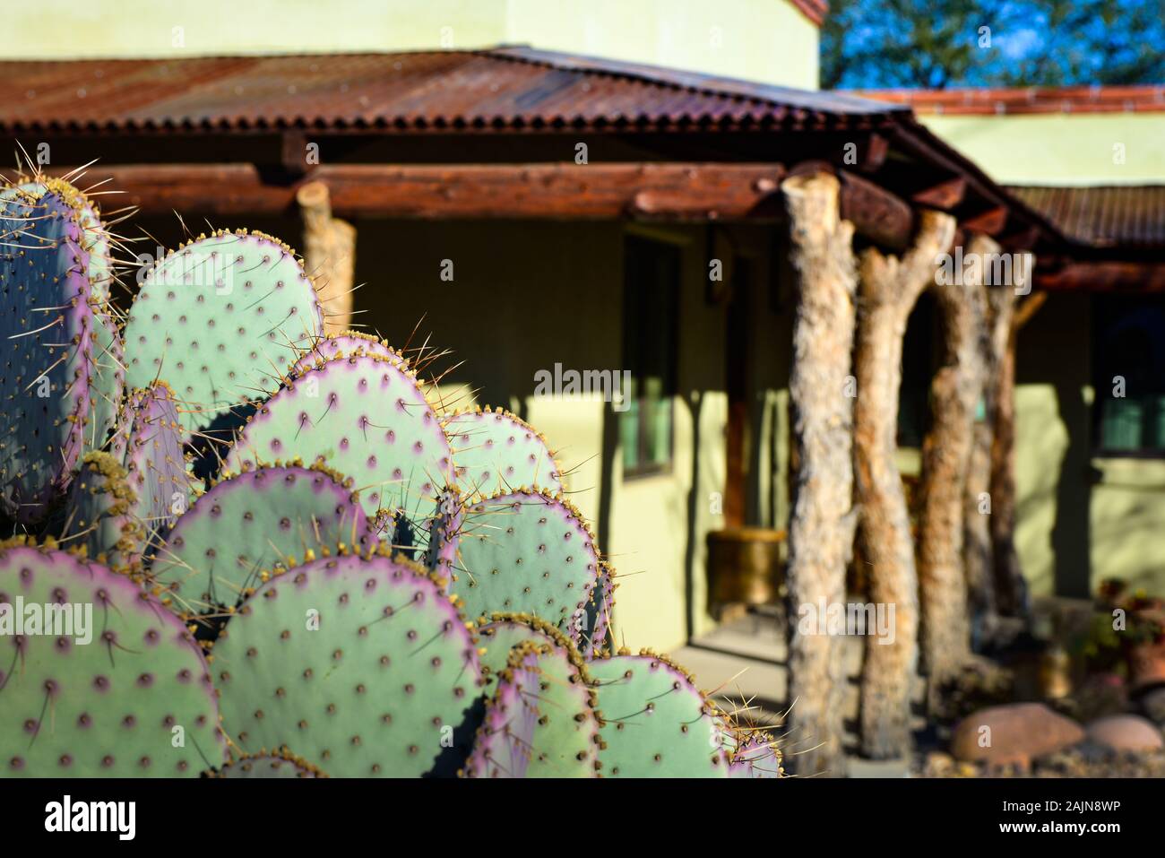 Tree spiking hi-res stock photography and images - Alamy