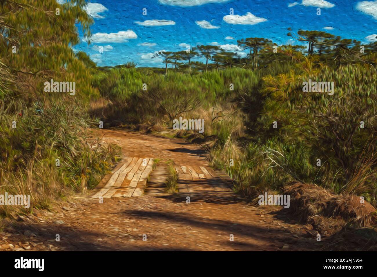 Pathway in a forest at Aparados da Serra National Park, near Cambara do ...